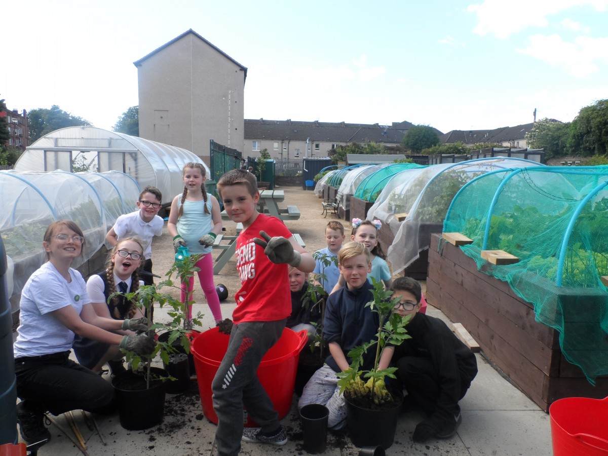 SGP News - Smelly Welly Club is back | Shettleston Communuty Growing ...